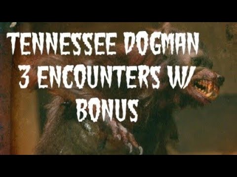TENNESSEE DOGMAN 3 ENCOUNTERS W/ BONUS - YouTube