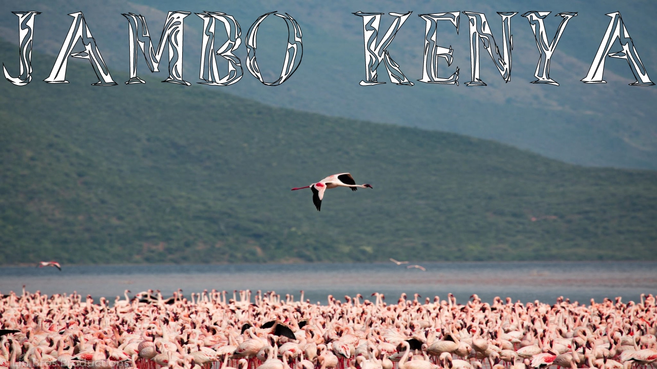 Jambo Kenya - African Safari Travel Video - YouTube