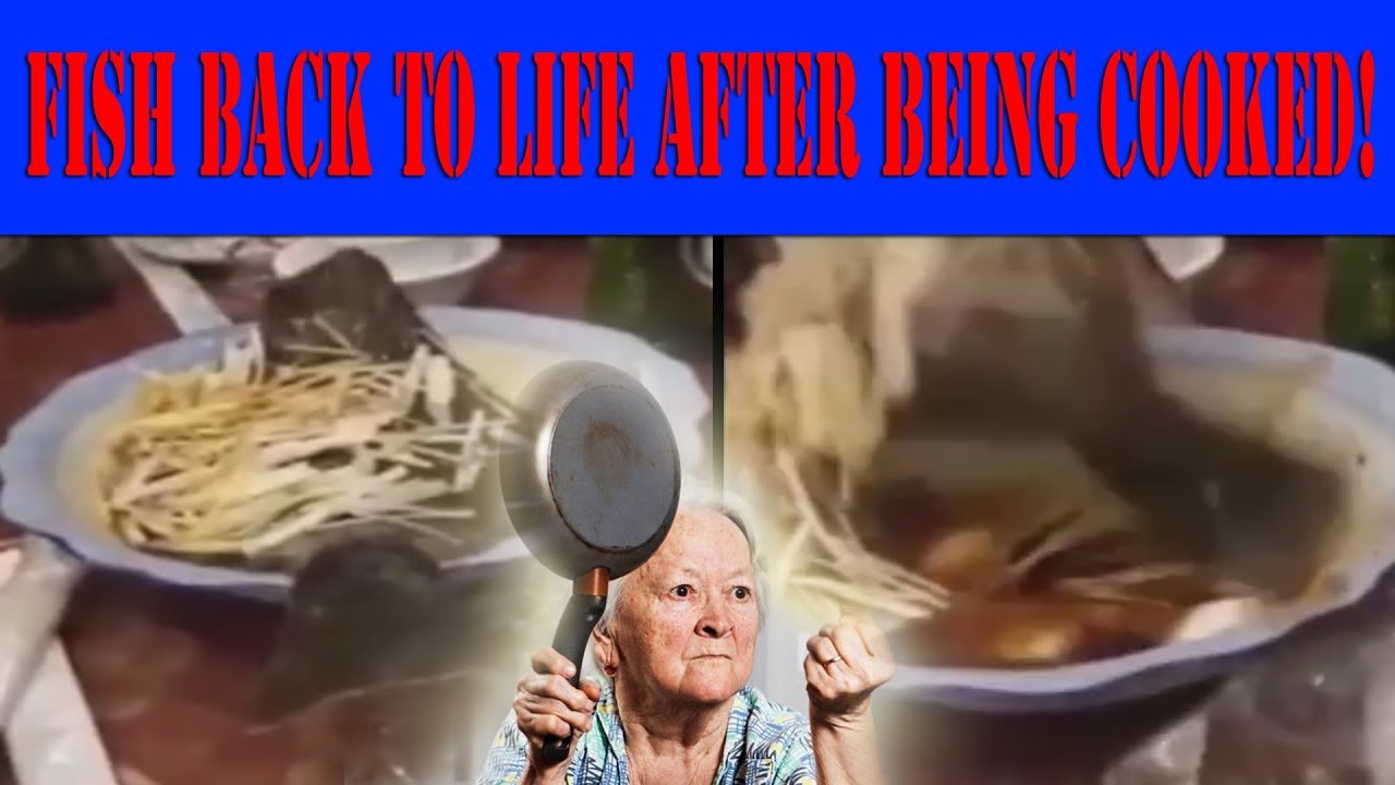 **CAUGHT ON CAMERA** Fish appears to come back to life after being ...
