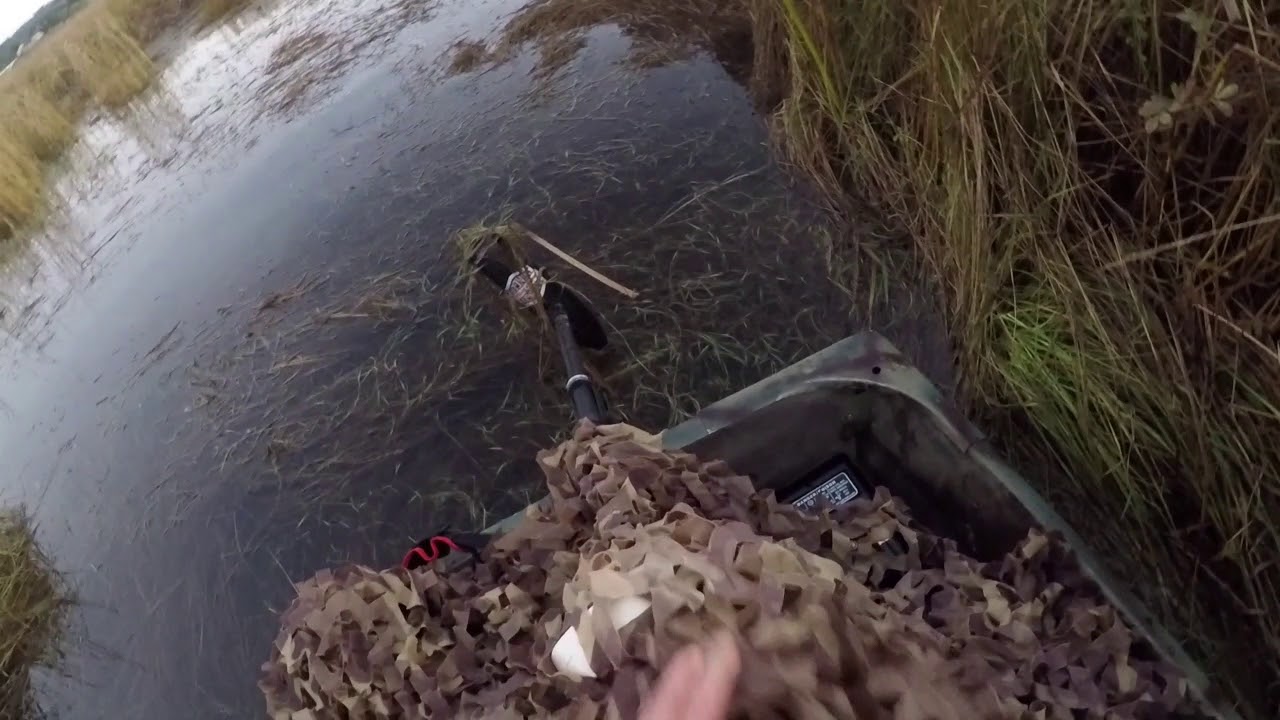 Oregon Duck Hunt 10/14 - YouTube