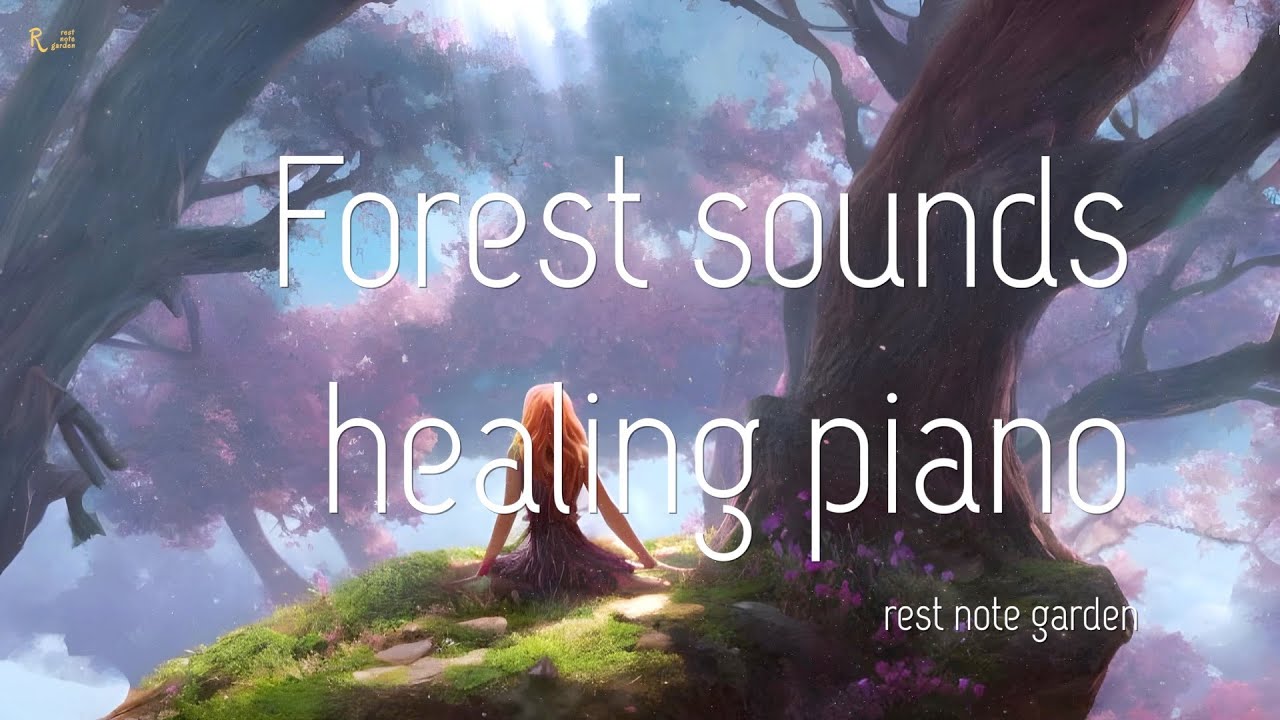 Forest healing music 🪴 Heart-healing piano music, forest sounds, bird ...
