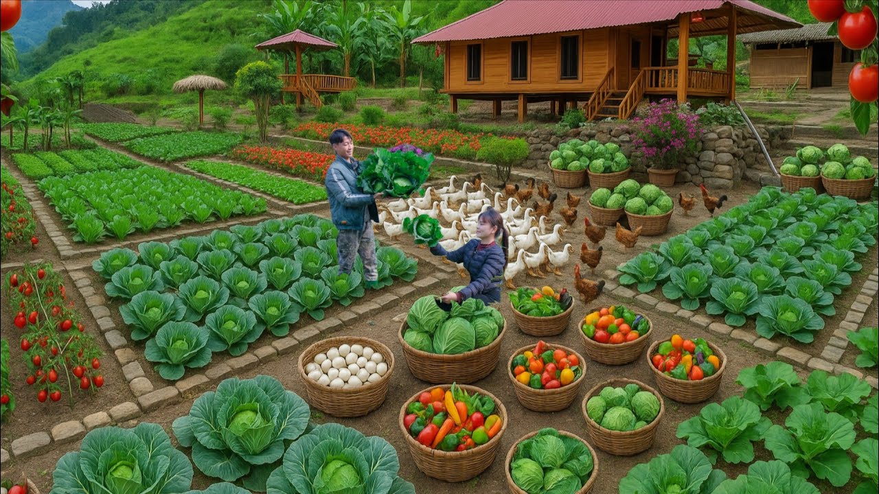 4 Years Off-Grid: From City Life to Thriving Farm & Sustainable Living ...