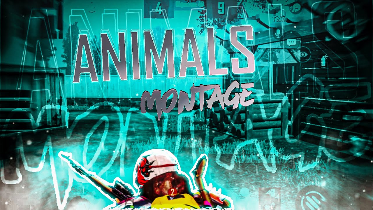 Pubg Montage | Animals | Hindian Gamer - YouTube