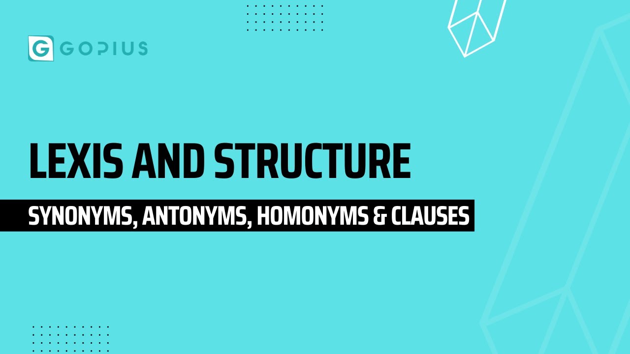 Lexis and Structure 1 (Synonyms, Antonyms, Homonyms and Clauses) - YouTube