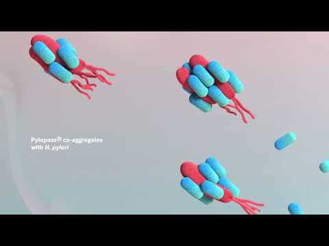 How Pylopass® works to eradicate Helicobacter Pylori? - YouTube