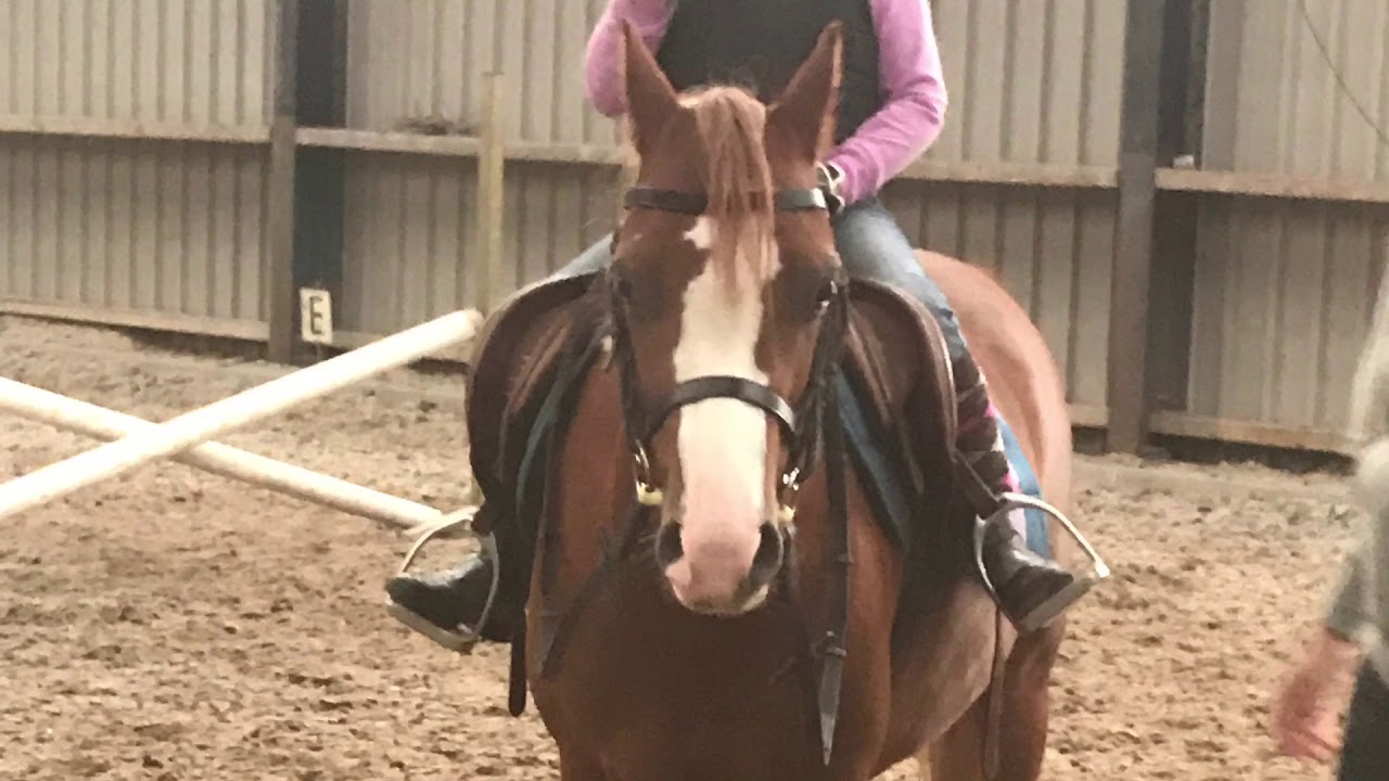 Elsa en Quinton *Sold* - YouTube