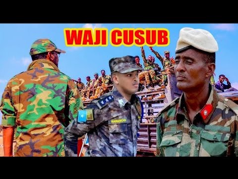 DEG DEG Taliye Fanax oo nolol lagu helay, diyaarad sida dhaawacyadi ...