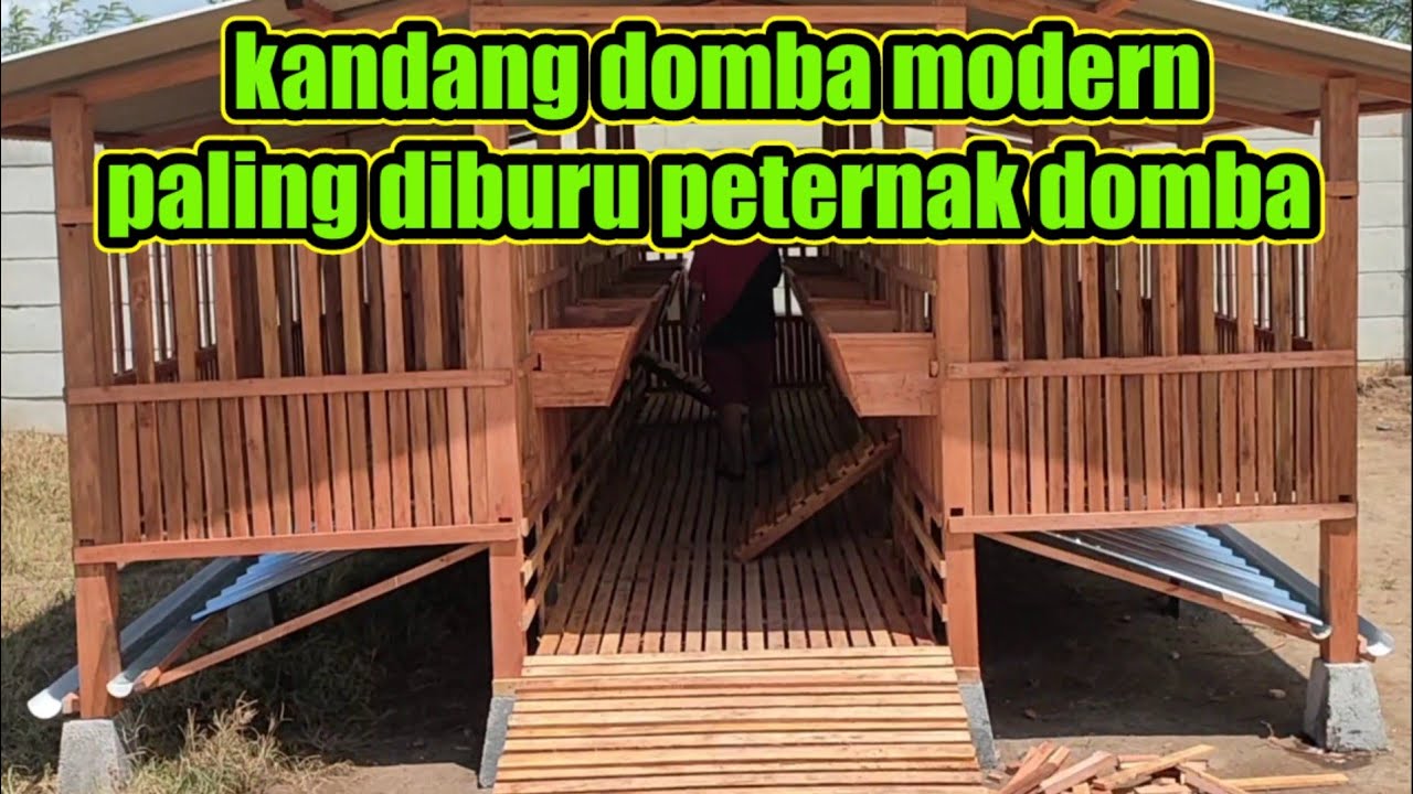 Spek lengkap kandang domba modern 8x4,5meter Boyolali +62 882-3919-9456 ...