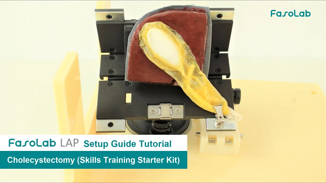 FasoLab LAP Cholecystectomy (Skills Training Starter Kit) Setup Guide ...