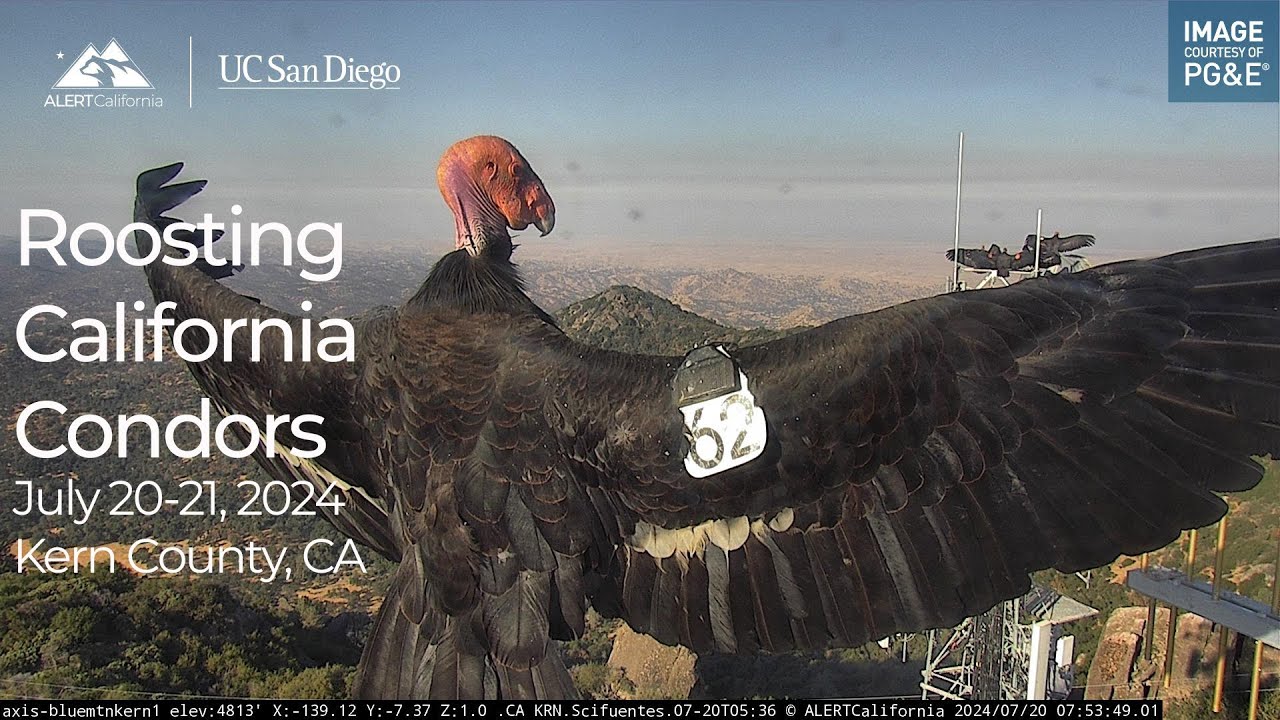 Video - ALERTCalifornia