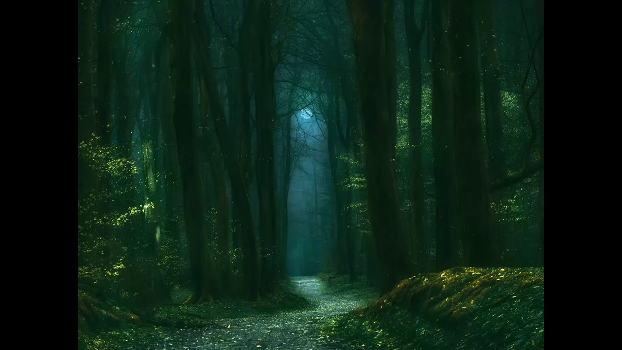 Fireflies & Crickets - Calming Nature Night Sounds & Sights for Sleep ...