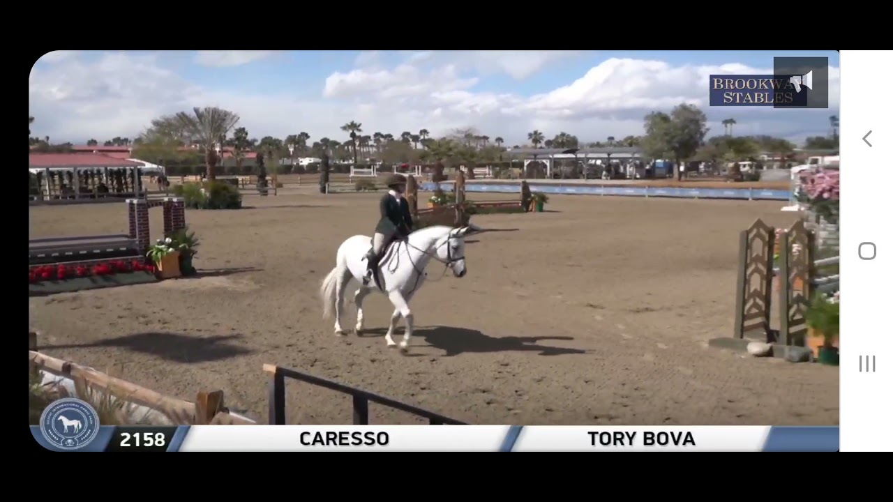 Caresso 3'6 Performance - YouTube