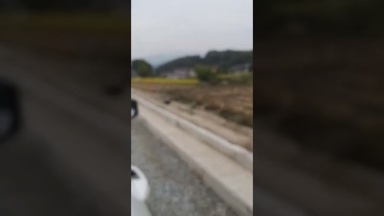 익어가는 가을들력 유유히 달려 익어가는과실 열매 시골 논과밭 울퉁불퉁 덜커덩 황금빛 벼이삭 모든것이 메세지 복음 감사