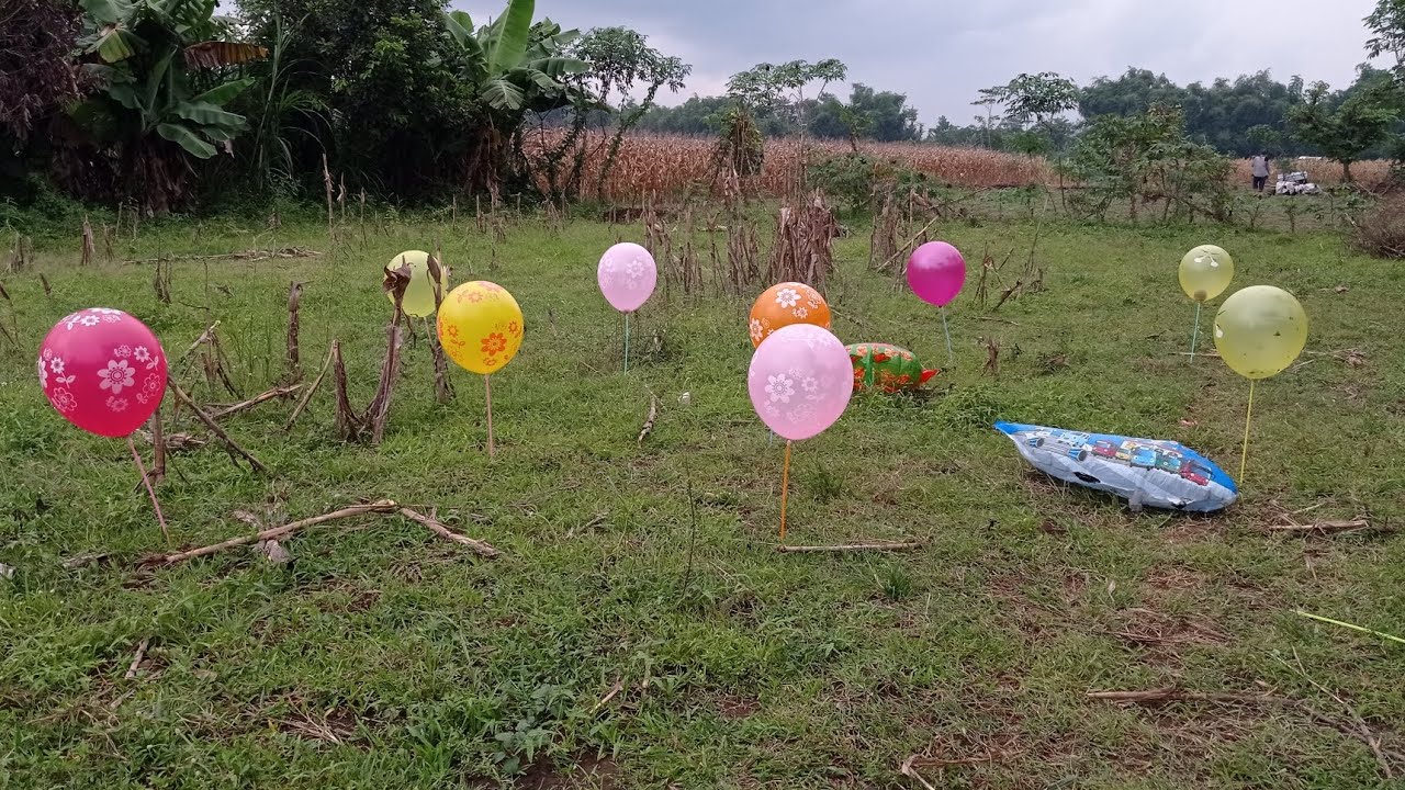 meletuskan balon balon lucu dan balon warna warni, balon berhadiah ular ...