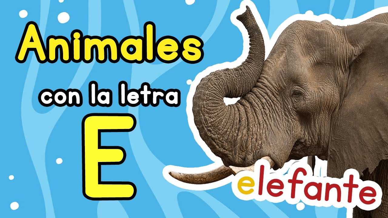 Animales Con La Letra E I ANIMALES CON E I Ejemplos de ANIMALES CON E 🐻 ...