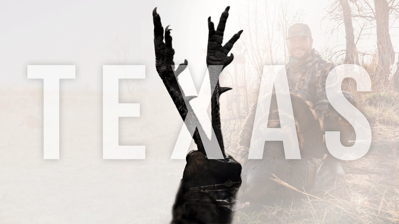 Texas Gobbler Comes Screaming In & Beats Up My Decoy! (First Texas Rio ...