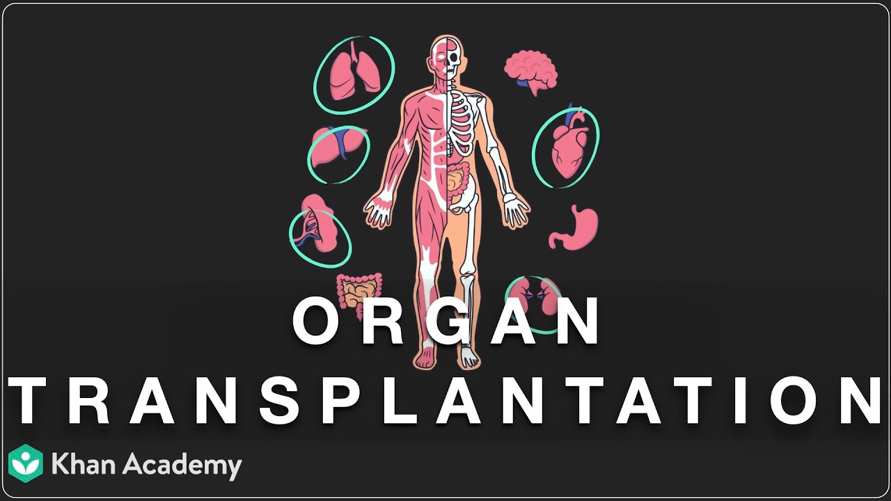 Organ Transplantation | Cell Biology and Biotechnology | MH Grade 10 ...