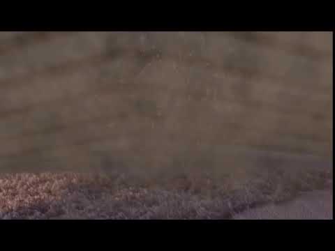 The Ant Bully Wilhelm Scream #1