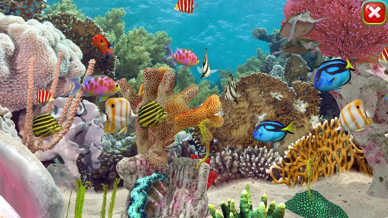 Fish Farm 3 Demo - YouTube