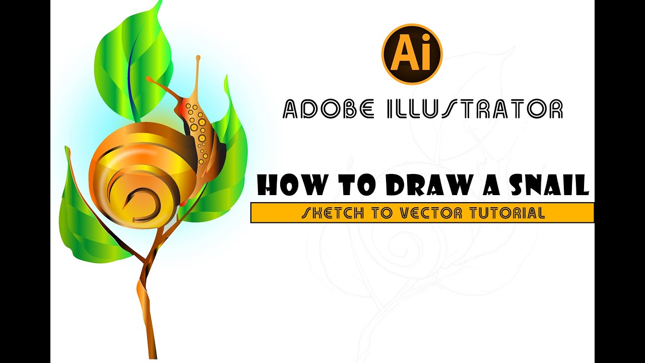 How To Draw A Snail - Adobe Illustrator - Sketch To Vector Tutorial ...