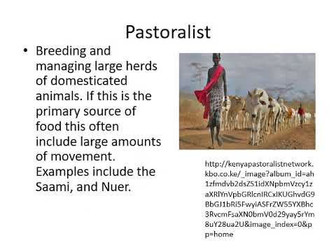 06 The Anthropology of Food - YouTube