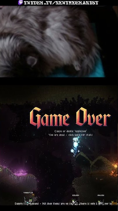 Chaotic Polymorph Fun ft Tom | Noita #shorts - YouTube