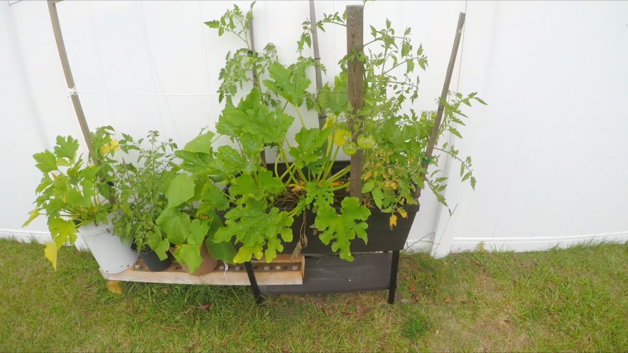 Inflation Garden 2023 Video 10 - YouTube