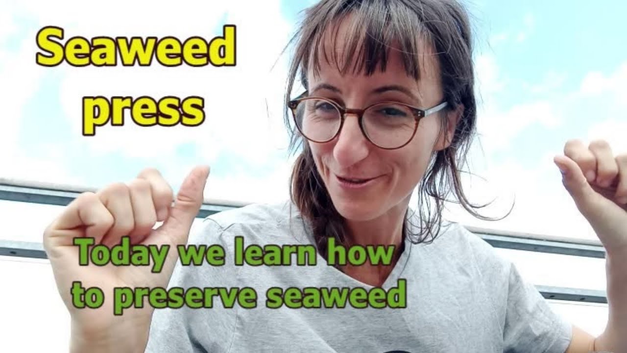 Seaweed press, learn how to preserve seaweed for long time - YouTube
