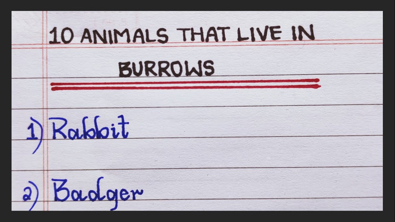 Name the animals that live in Burrows | 10 Animals that live in Burrows ...