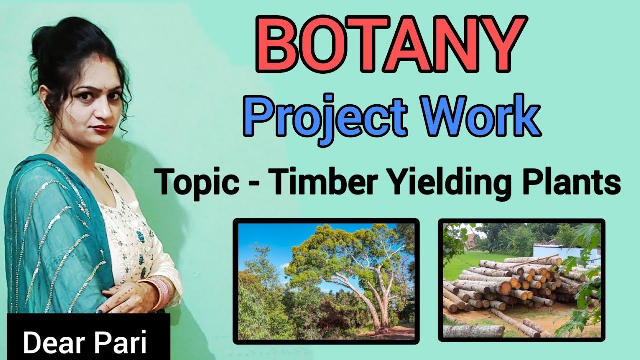 Botany Project File | Topic - Timber Yielding Plants @Dear_Pari - YouTube