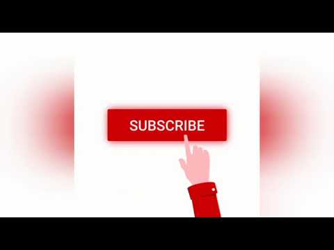 a lucky donkey miraculously escapes death