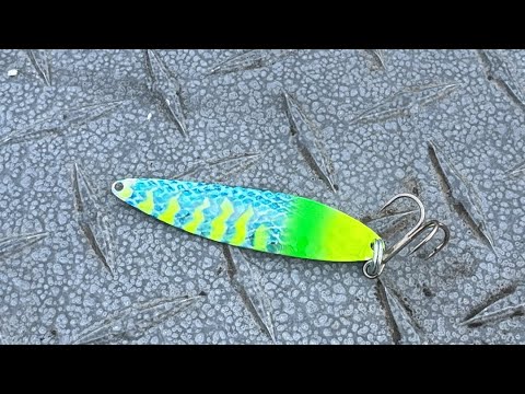 Shasta lake Live during the Kokanee power derby chinook divers are the ...