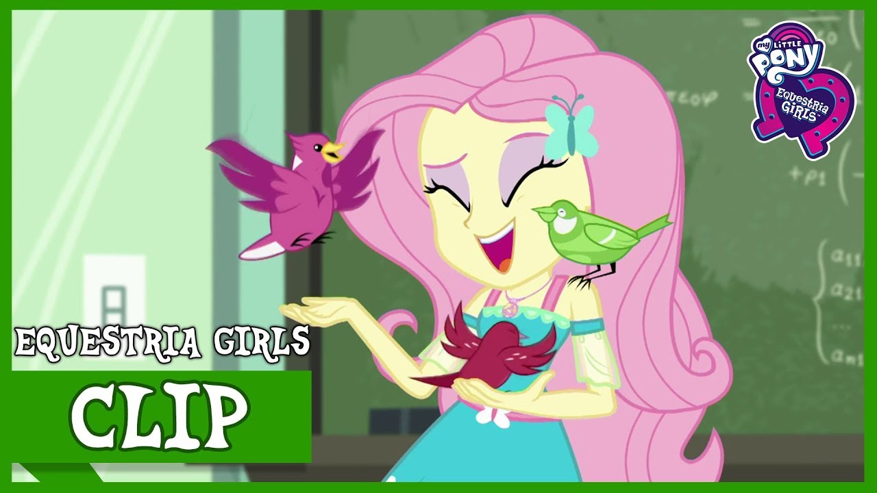 A Little Birdie Told Me | MLP: Equestria Girls | Better Together ...