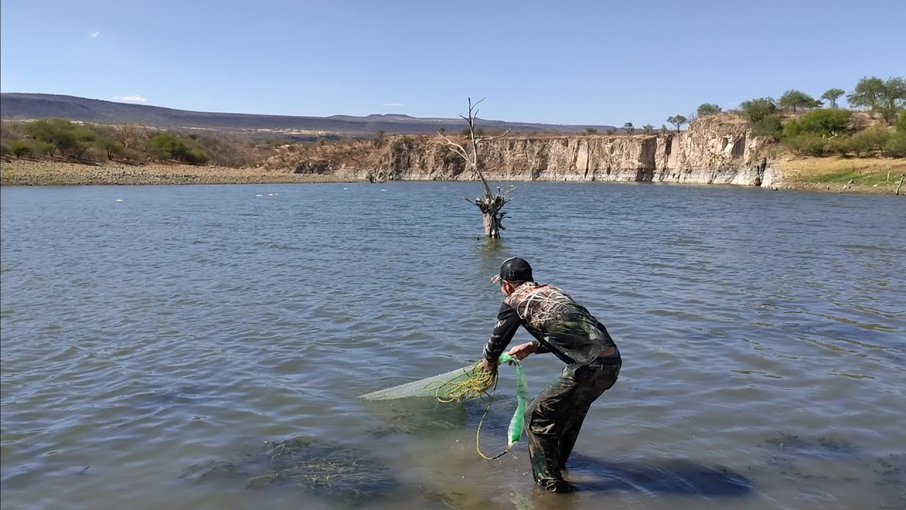 tilapias de 4 kilos y medio asadas en el arroyo con paco y nacho - YouTube