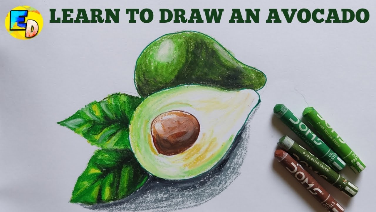 how to draw avocado | #EasyToDraw | realistic avocado drawing - YouTube