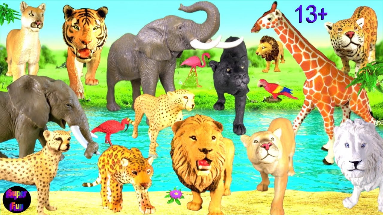 Big Cat Week - Animals Lion Tiger Elephant Jaguar Leopard Giraffe ...