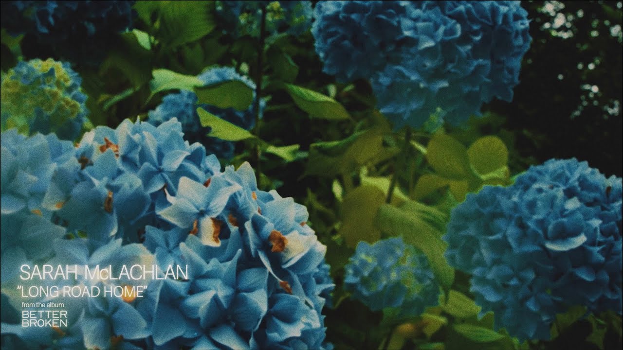 Sarah McLachaln - Long Road Home (Official Visualizer) - YouTube
