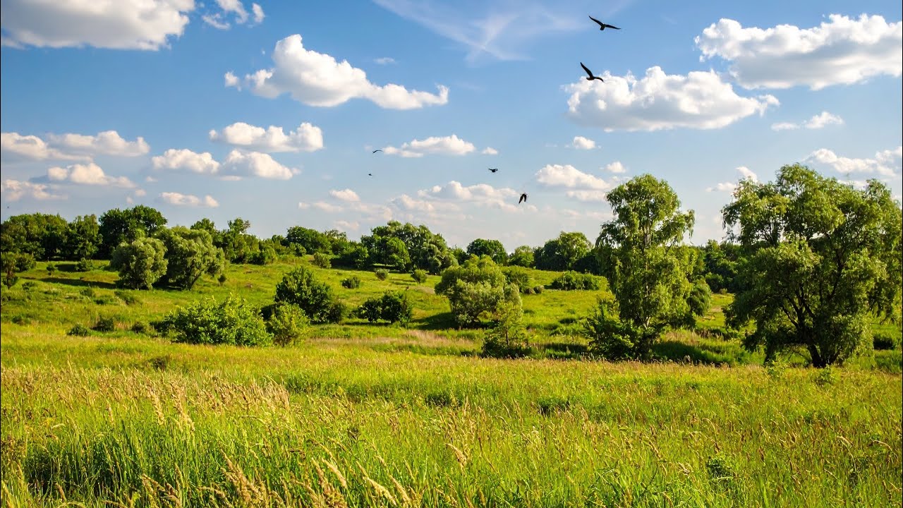 Green Fields of Ukraine – Peaceful Countryside View - YouTube