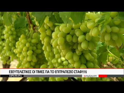 ΑΦΑΝΙΖΟΥΝ ΤΟΝ ΠΡΩΤΟΓΕΝΗ ΤΟΜΕΑ ΛΕΝΕ ΟΙ ΑΜΠΕΛΟΥΡΓΟΙ ΤΟΥ ΗΡΑΚΛΕΙΟΥ - YouTube