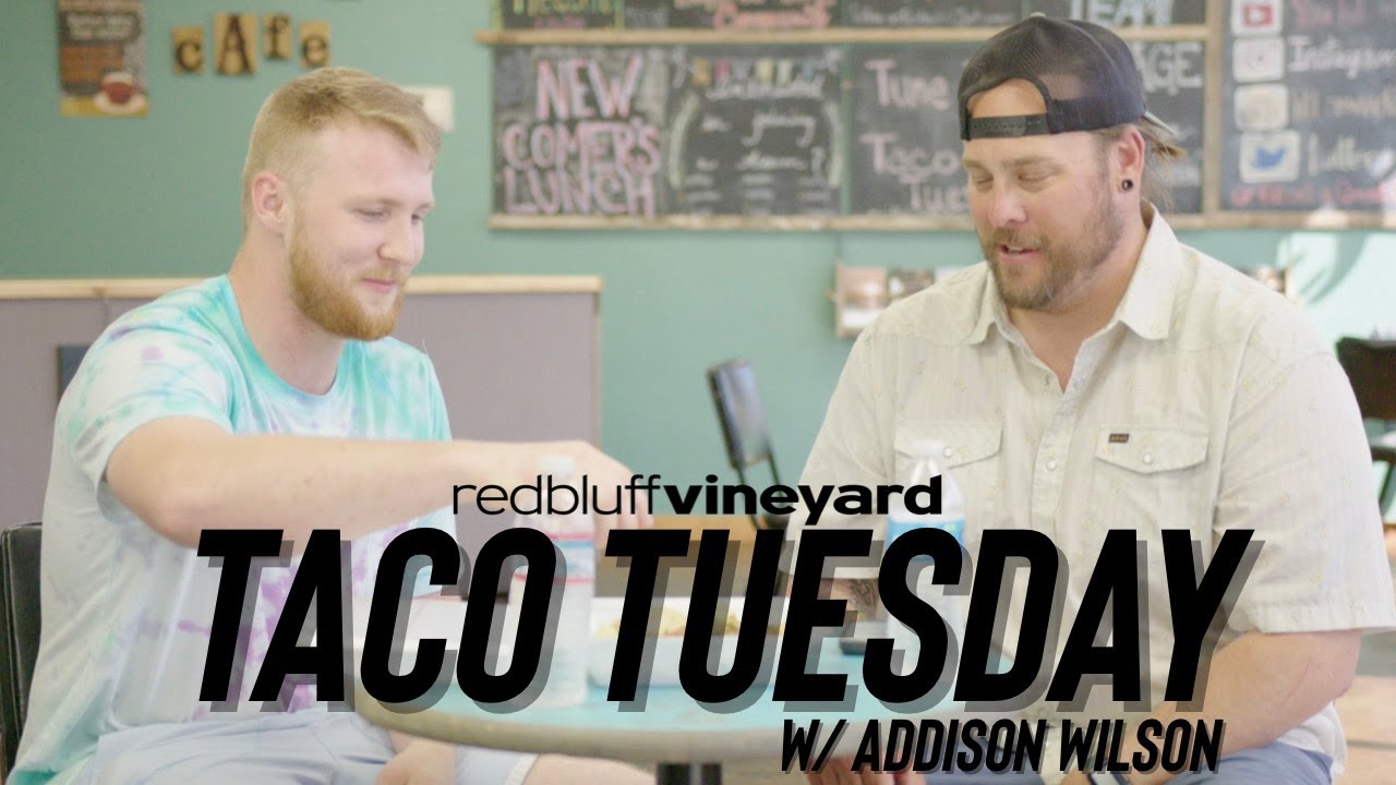 Meet Addison Wilson || Taco Tuesdays || Red Bluff Vineyard - YouTube