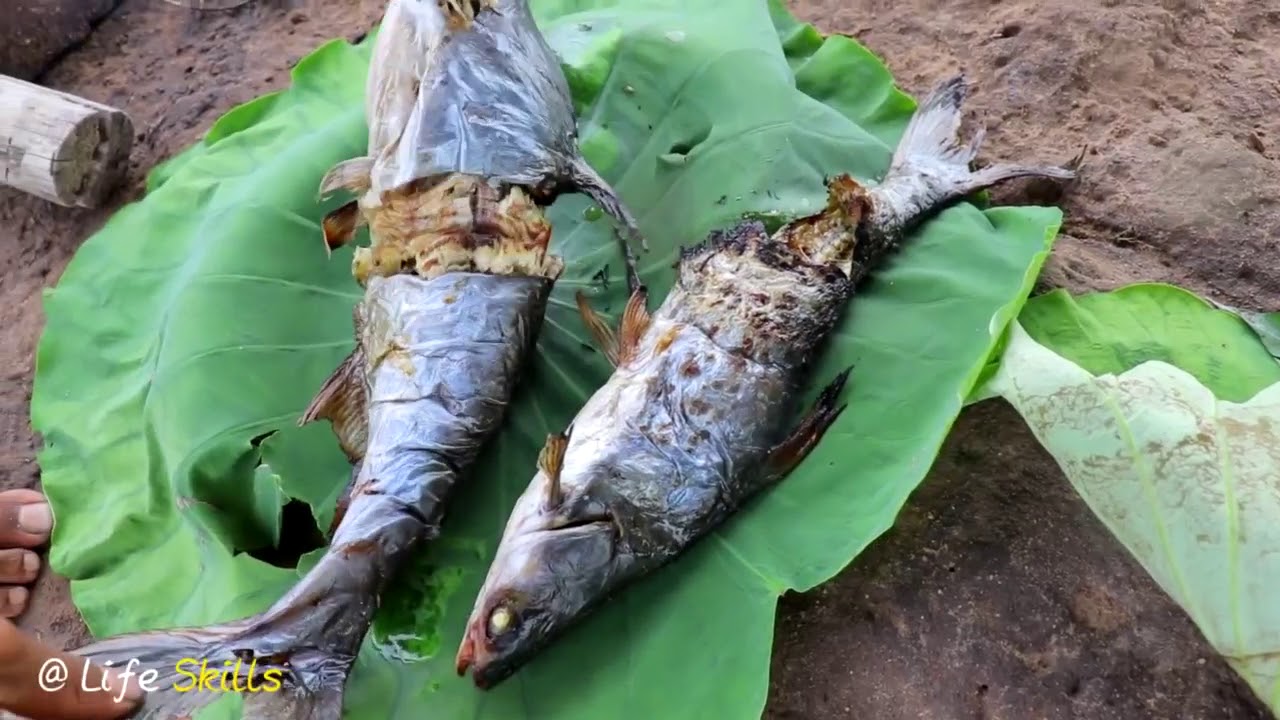 Wow! Using Snail Bait for Fishing then Cook near my Village | CATCHING ...