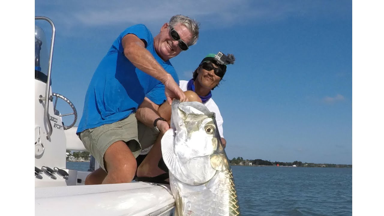Fishing The Mullet Run For Giant Tarpon St Augustine, Fl. Fea.Hookem In ...