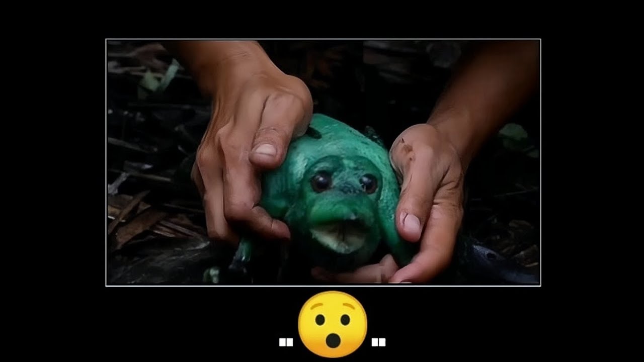 Makhluk Aneh Yang Sangat Langka 😱 (dede inoen meme) - YouTube