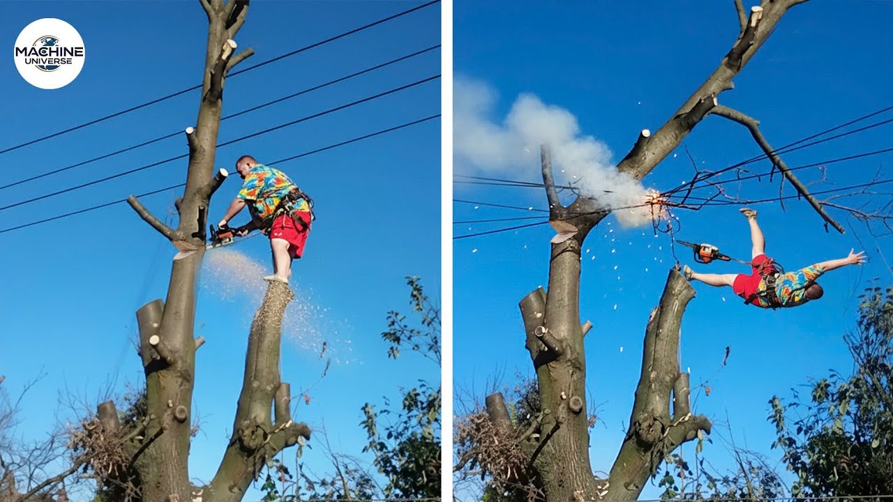 Idiots With Chainsaws: Tree Cutting Fails | Extreme Dangerous Logging ...