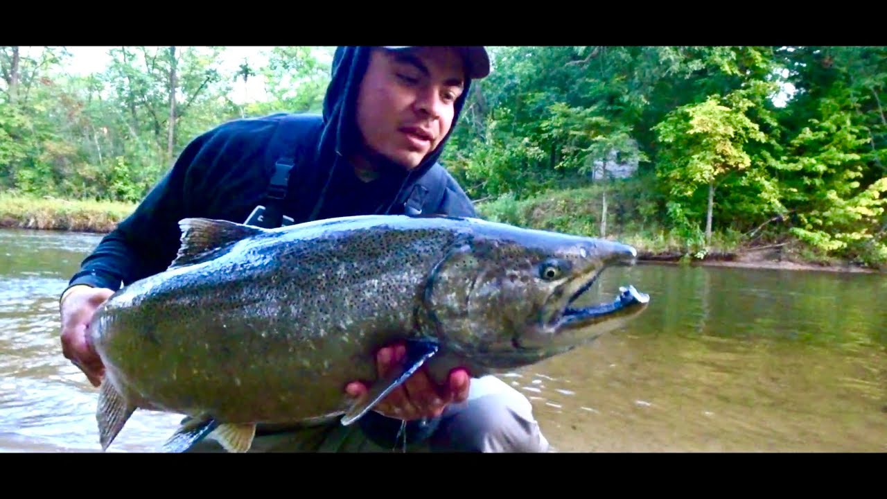 Michigan Fall Salmon Fishing!! (2021) - YouTube