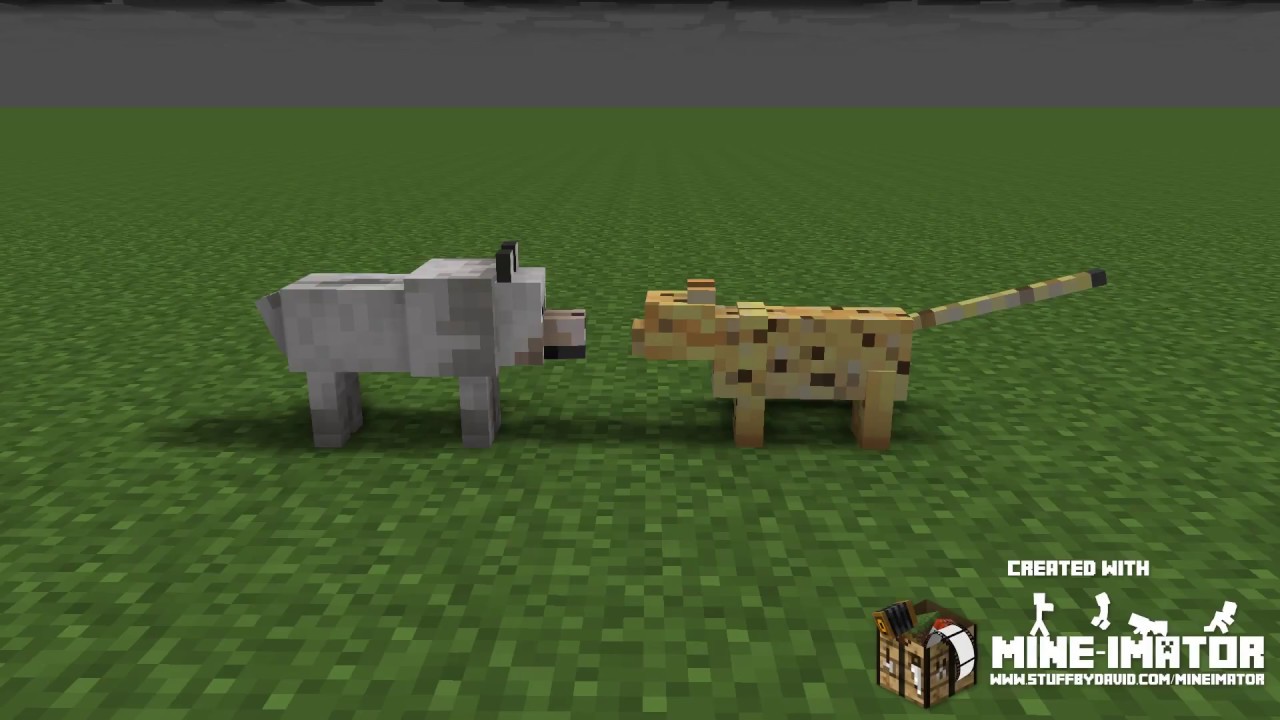wolf vs ocelot severe fight - YouTube