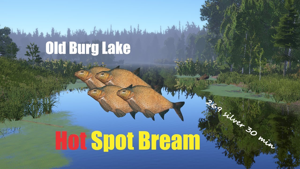 RF4 Old Burg Lake. Hot Spot Bream! 269 silver 30 min. - YouTube
