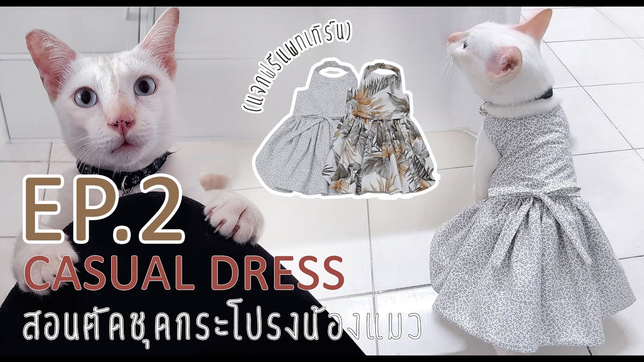 สอนตัดชุดกระโปรงสำหรับน้องแมว Cat Clothes EP.2 | Tutorial | Casual ...