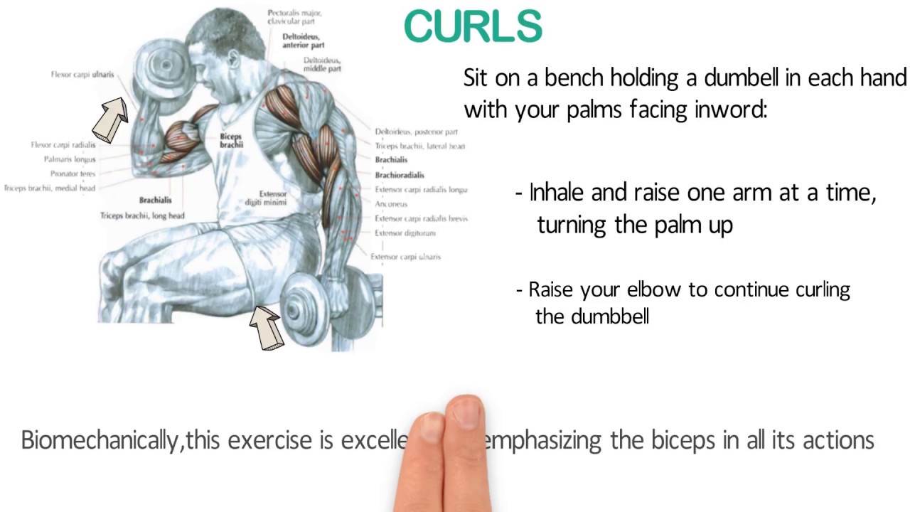 The Curl workout - YouTube