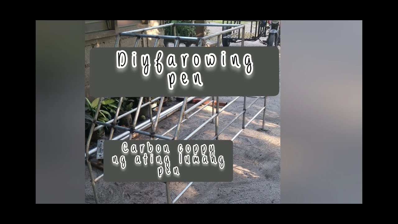 DIY Farrowing crate|| paano gumawa ng farrowing pen o gestating pen ...